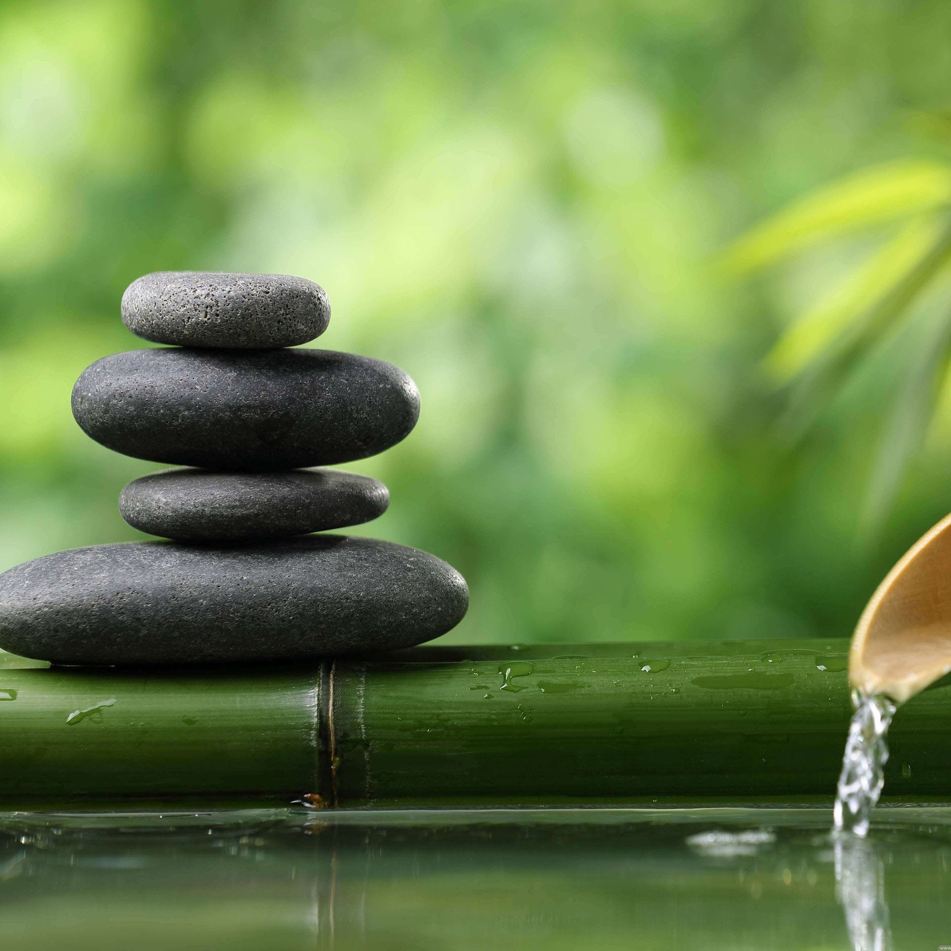 Zen Body Oil – Stark Naked Body Products